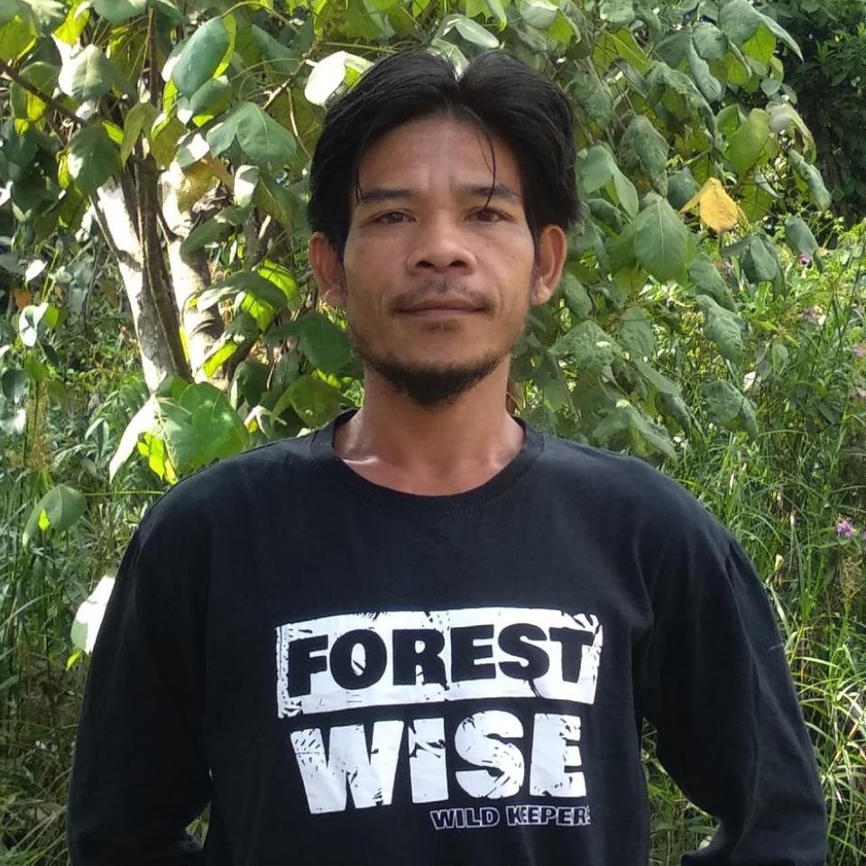 Forestwise - About us